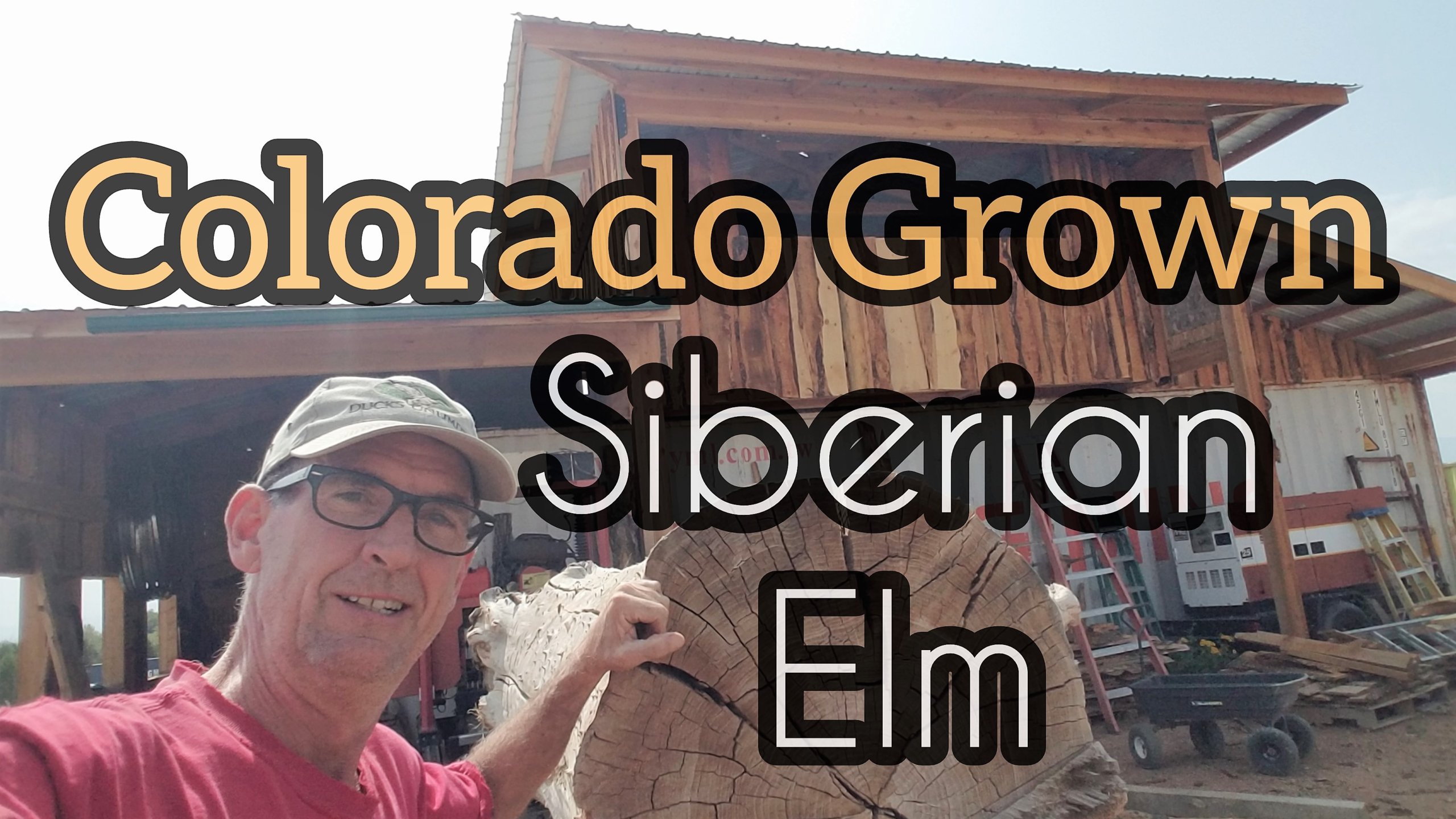 Milling Colorado Grown Siberian Elm - Colorado Springs Sawmill